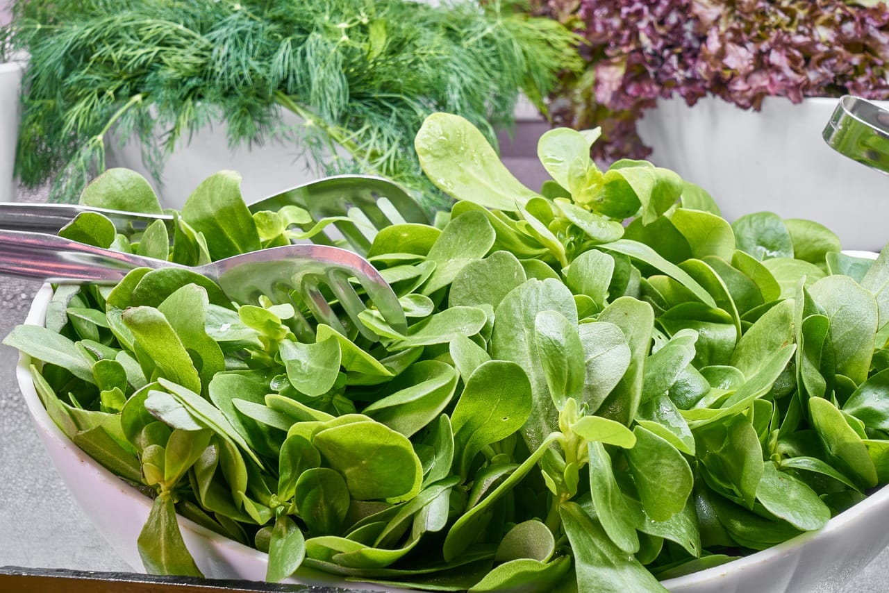 Spinach 101: Nutrition Facts And Health Benefits - Home